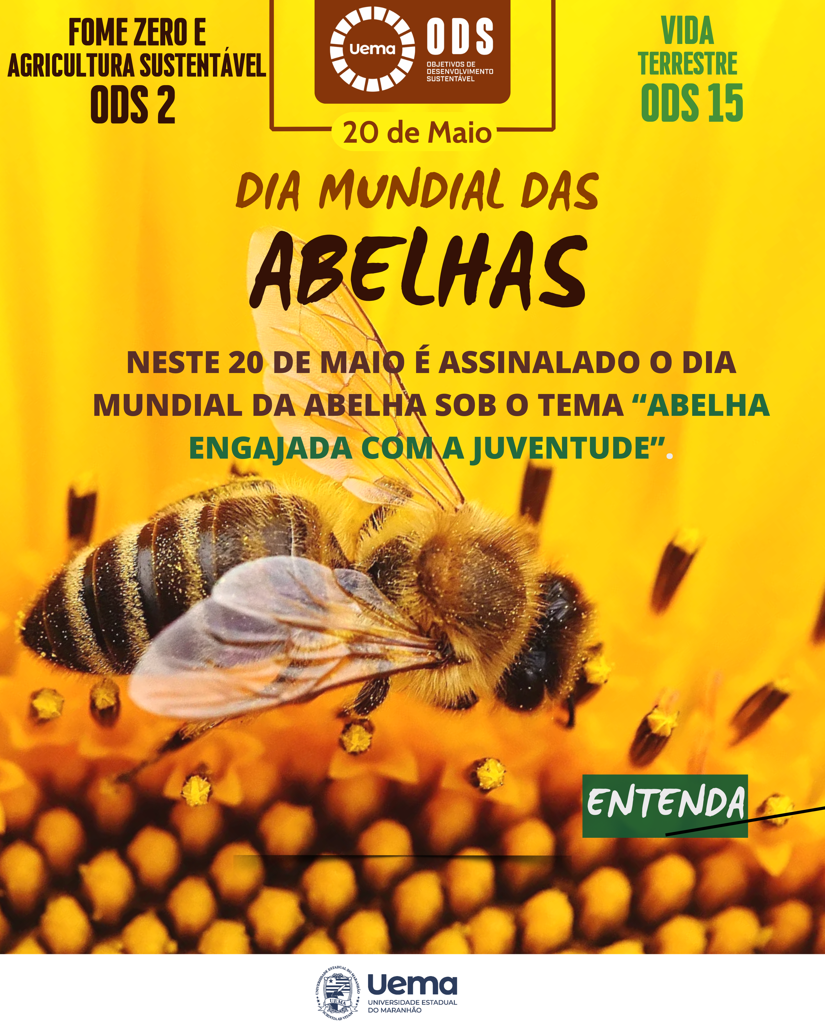 ODS | Dia Mundial das Abelhas